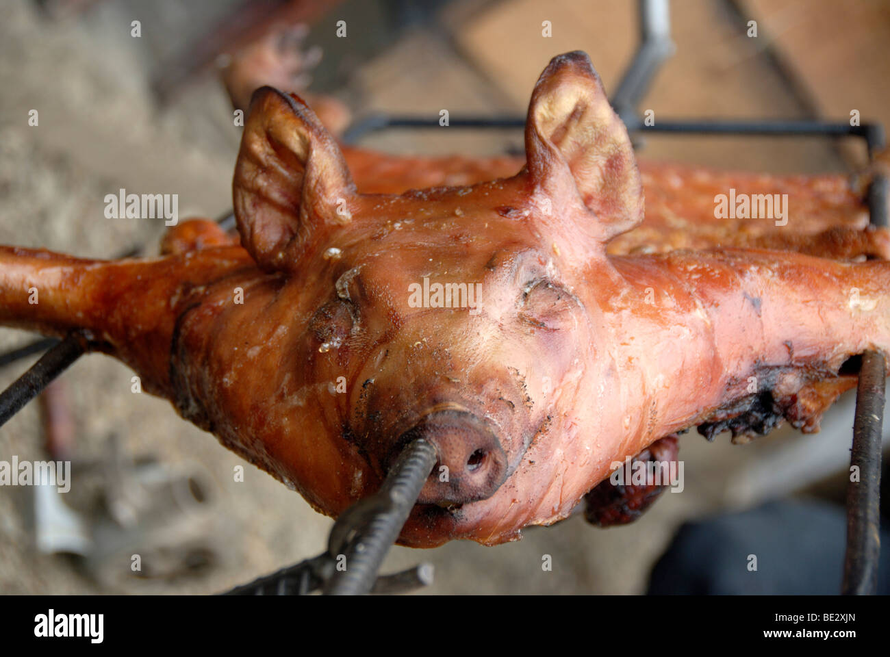 Chinese suckling pig hi-res stock photography and images - Alamy