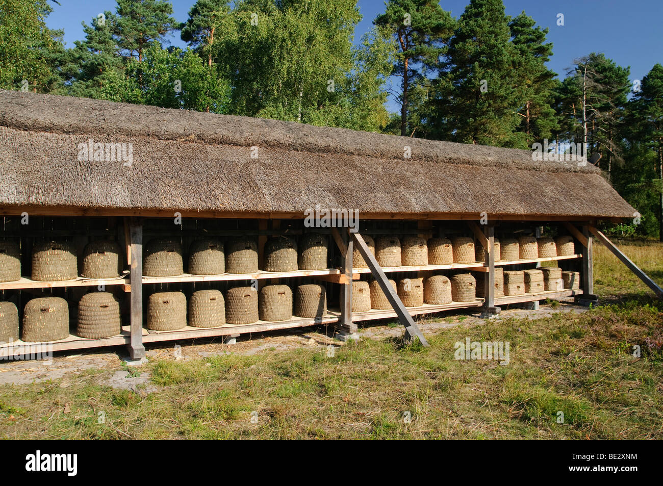 Traditional bee fence at Undeloh, Lueneburg Heath Nature Park, Lower ...