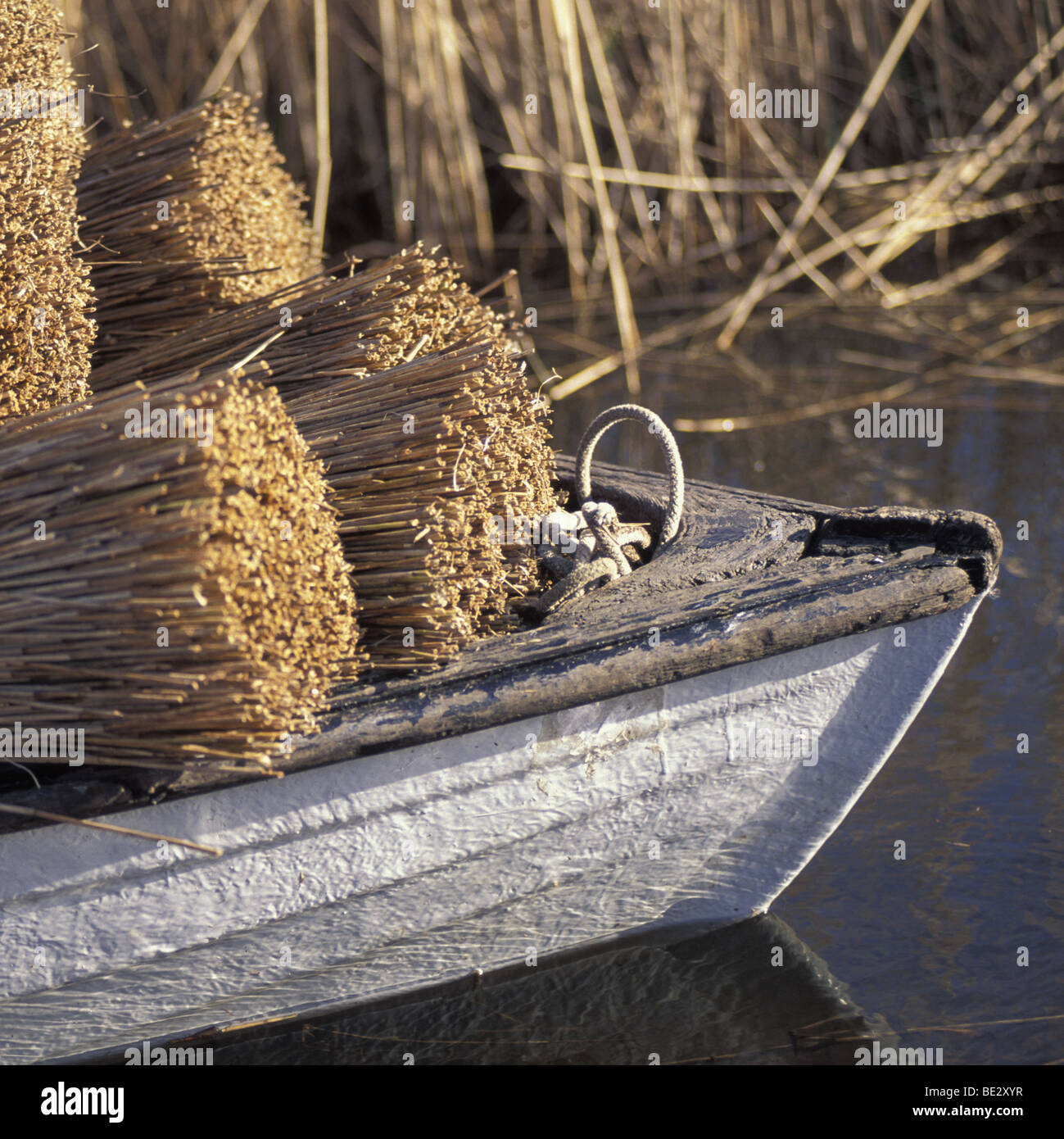 norfolk reed on boat Stock Photo - Alamy