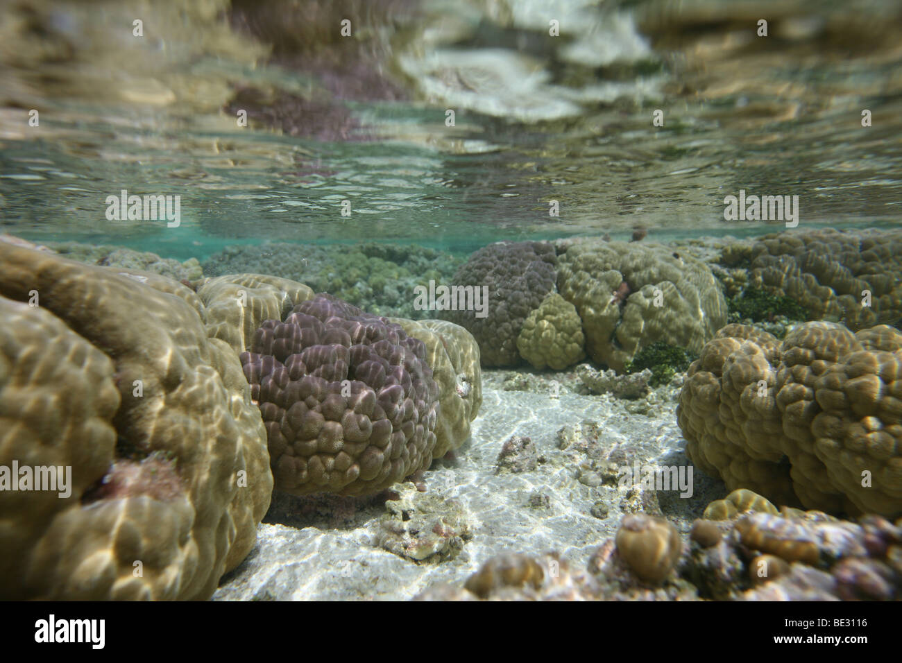 Tuvalu, formerly known as the Ellice Islands, is a Polynesian island ...