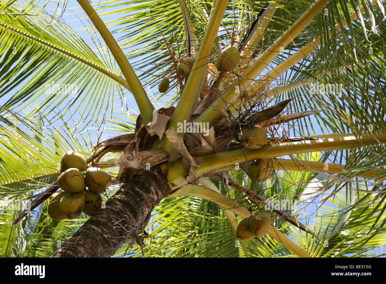 Tuvalu, formerly known as the Ellice Islands, is a Polynesian island ...