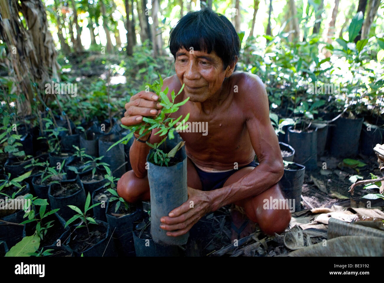 Indian man planting seeds hi-res stock photography and images - Alamy