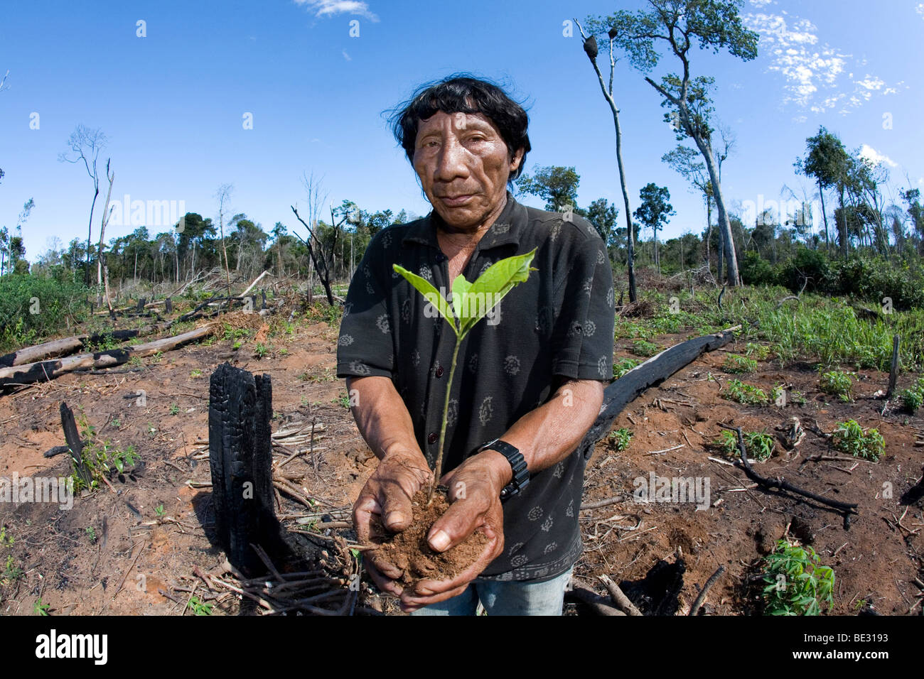 Indian man planting seeds hi-res stock photography and images - Alamy