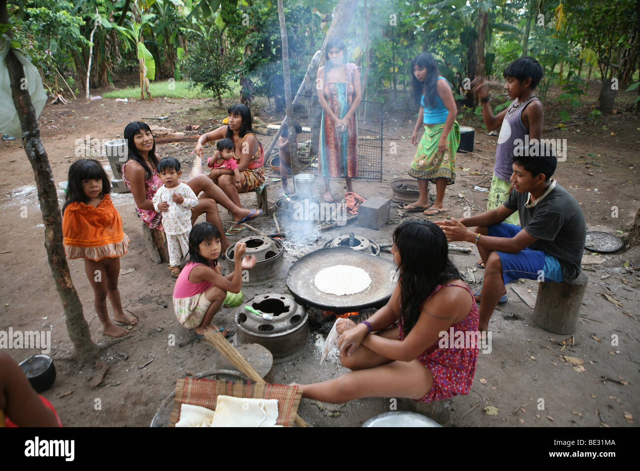 For the Xingu Indians in the amazone, is maniok is beside rice and fish ...
