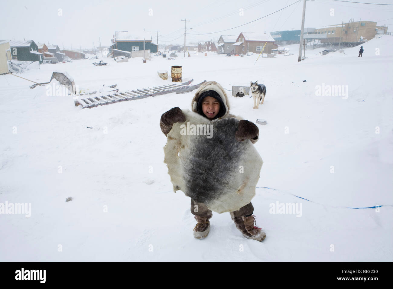 inuit in canada with a skin of a seal Stock Photo - Alamy