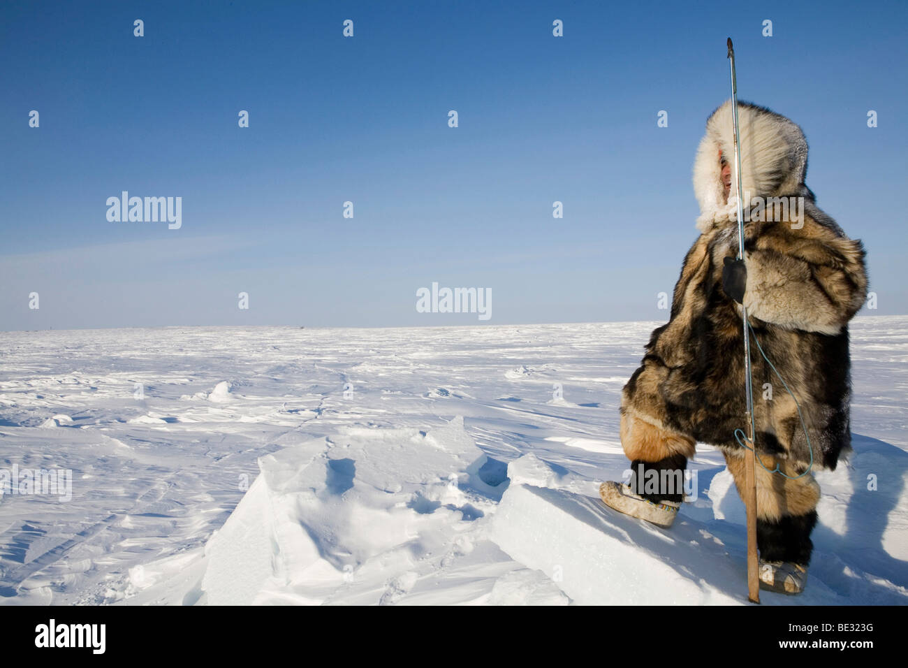 Gojahaven is a town in the far north of canada in 1000 where Inuits ...