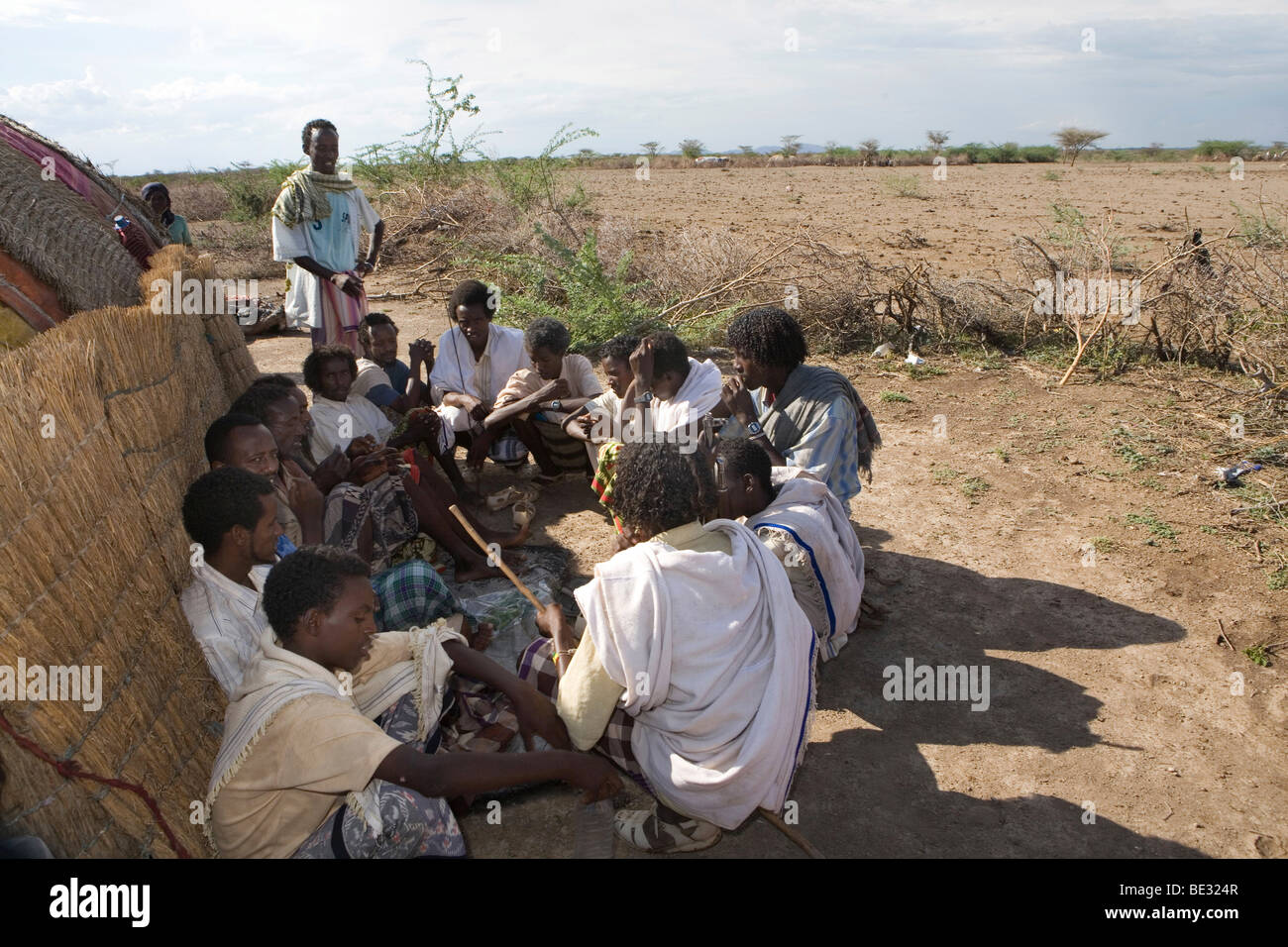 Khat catha edulis hi-res stock photography and images - Alamy