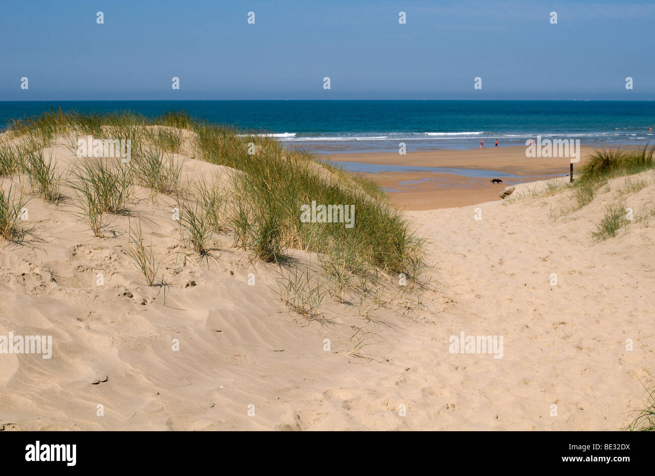 The way to beach Stock Photo - Alamy