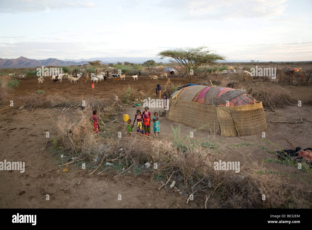 The Afari (Northern Etiopie) were originally nomads and live in very ...
