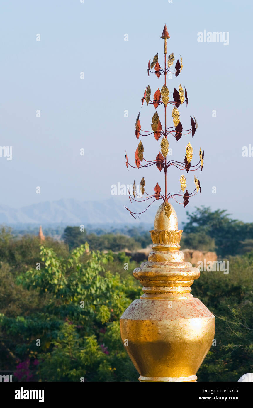 Filigree ornaments hi-res stock photography and images - Alamy