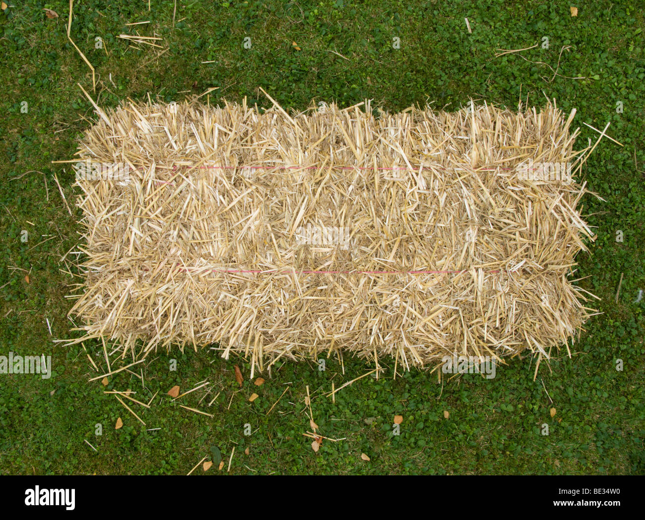 one hay bale on grass background Stock Photo - Alamy