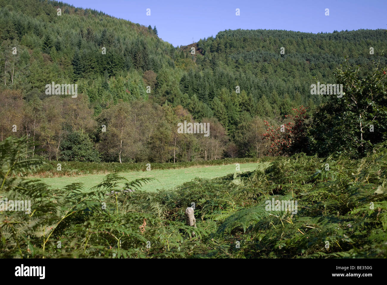 Afan valley forest park visitor centre hi-res stock photography and ...