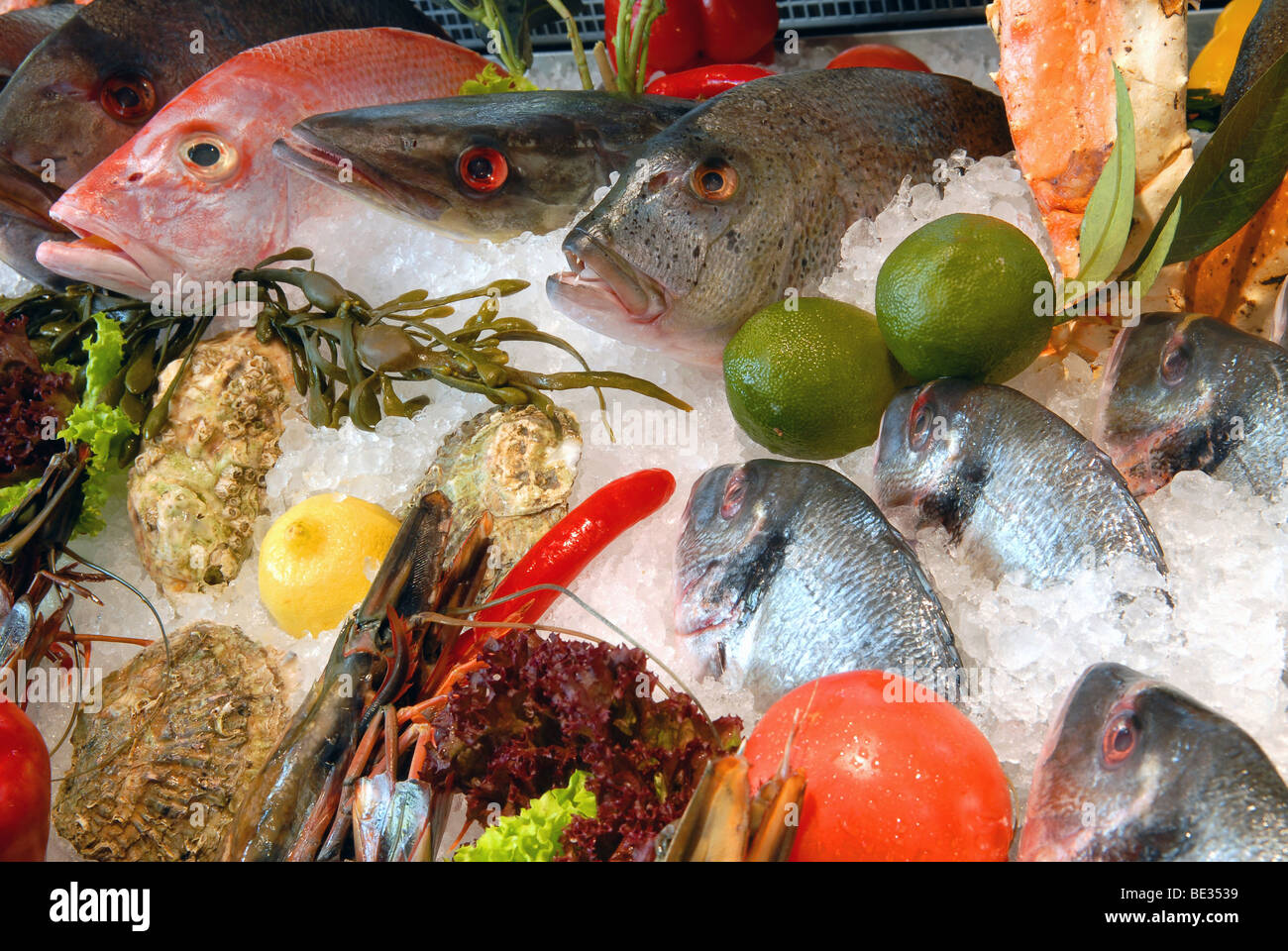 Show-window of fish restaurant Stock Photo - Alamy