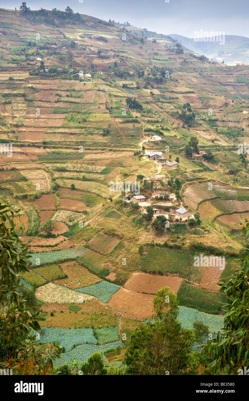 Kisoro hi-res stock photography and images - Alamy