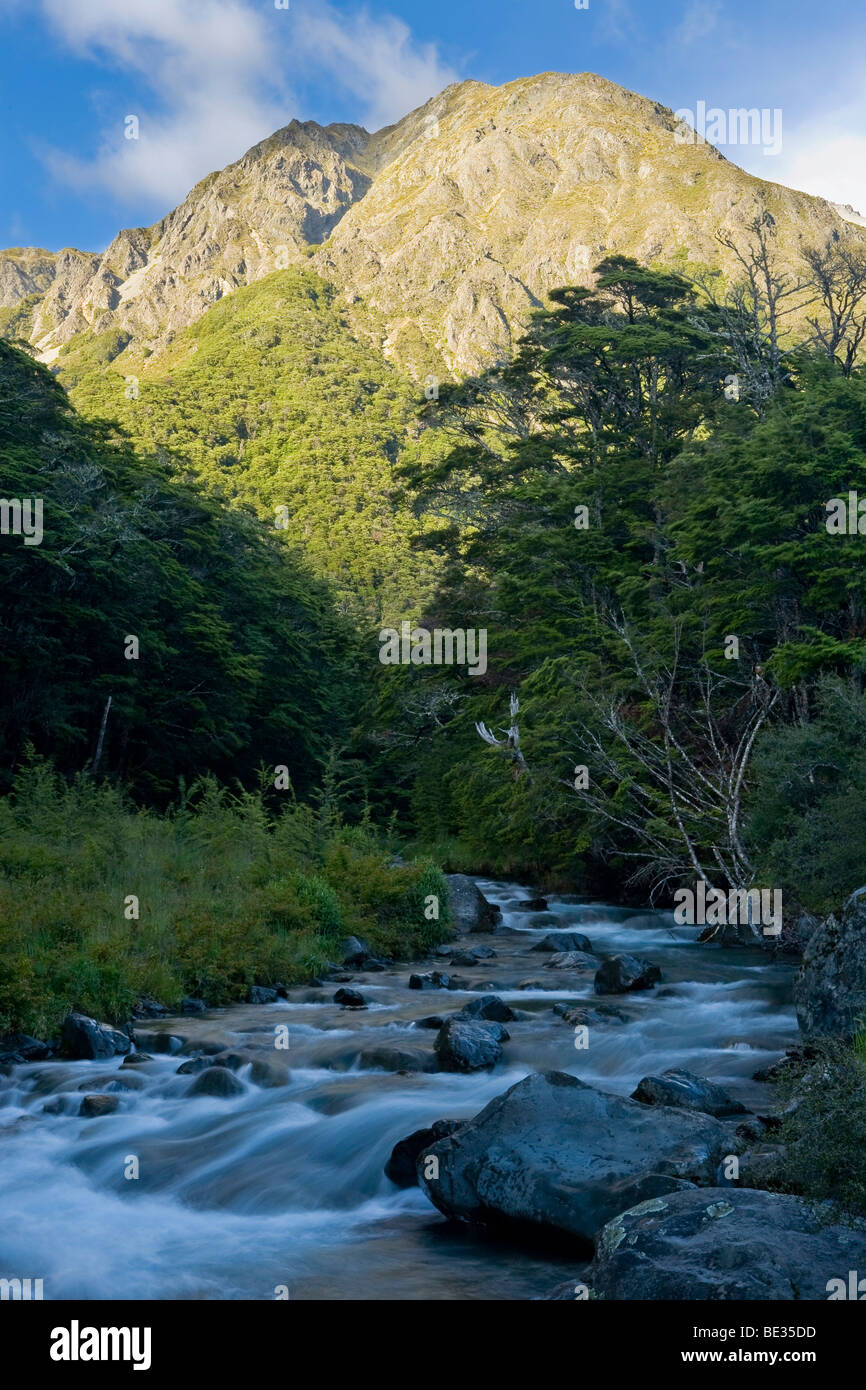 Jungle island photos hi-res stock photography and images - Alamy