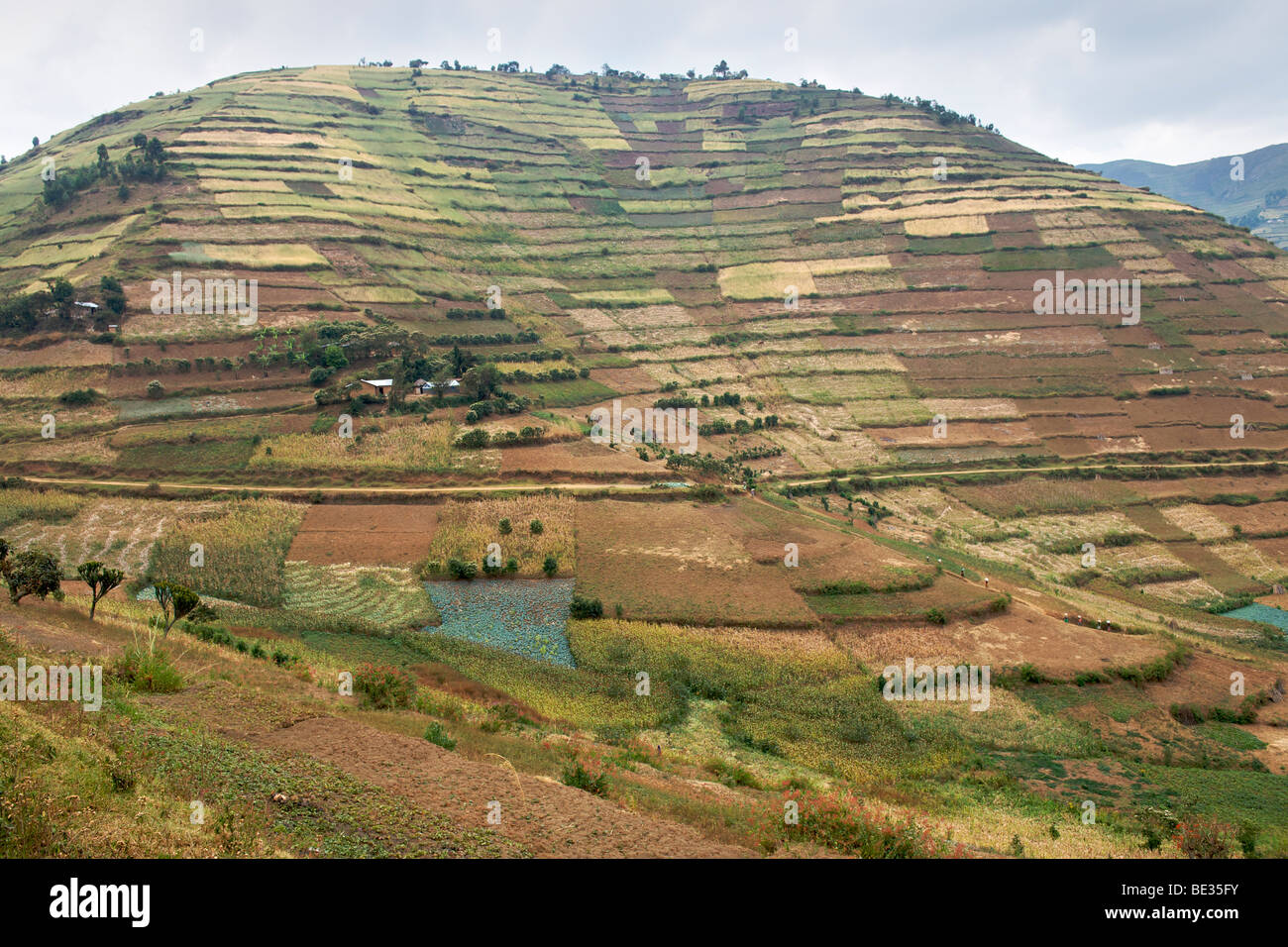 Kisoro uganda hi-res stock photography and images - Alamy