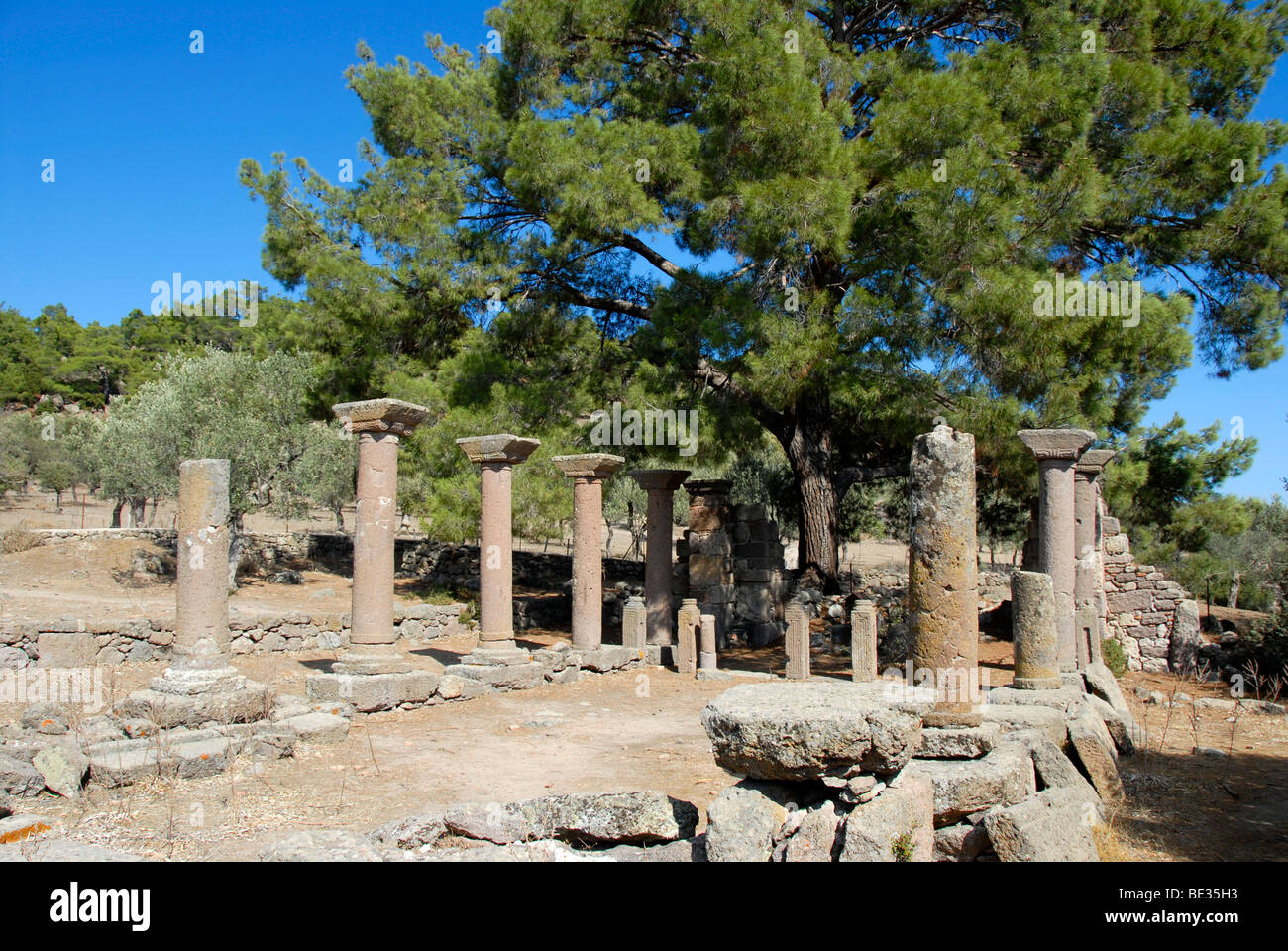 Columns and foundations, remains of an early Christian basilica under a ...
