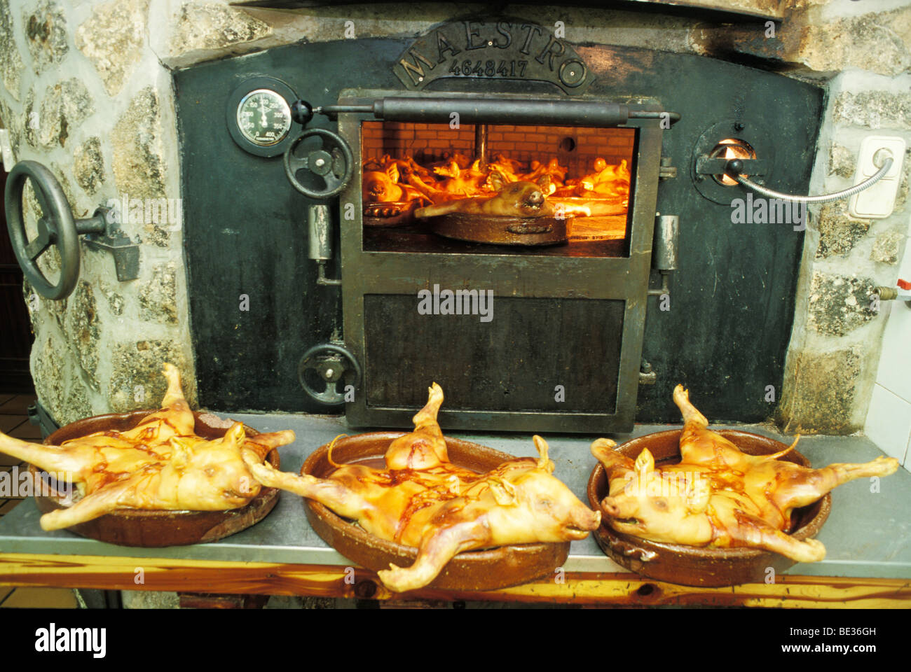 Suckling roasting at open fire in the oven, Segovia, Castilla Province ...