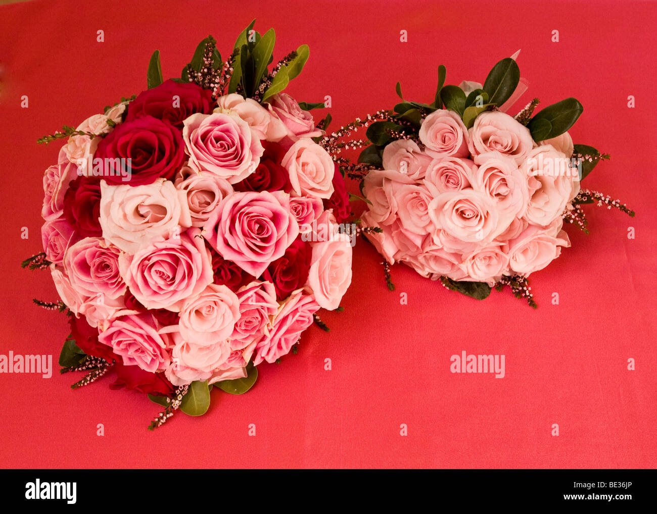 Bouquets of roses laying on a pink background Stock Photo - Alamy