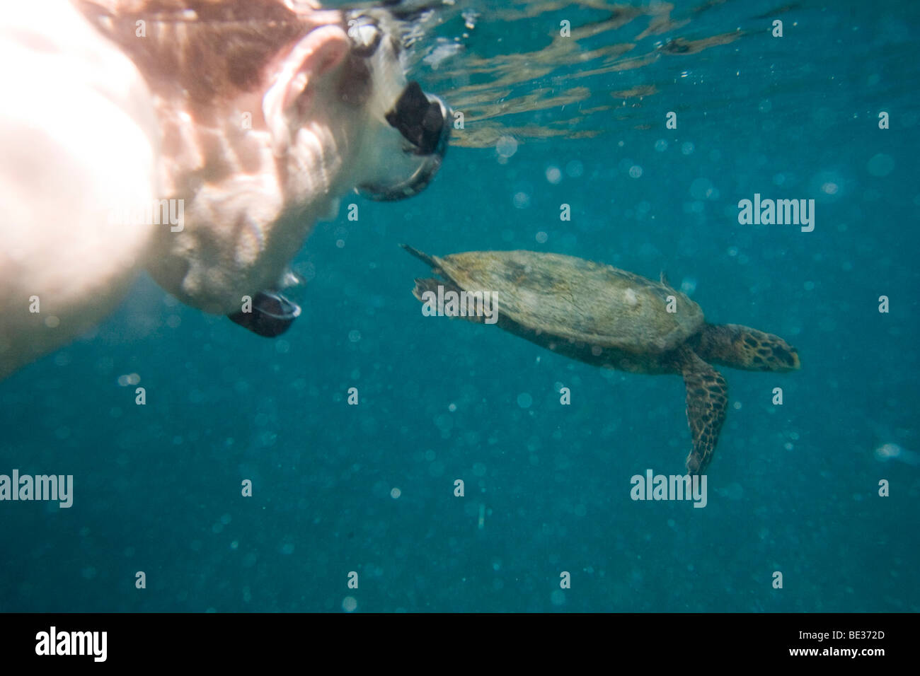 Seychelles underwater hi-res stock photography and images - Alamy
