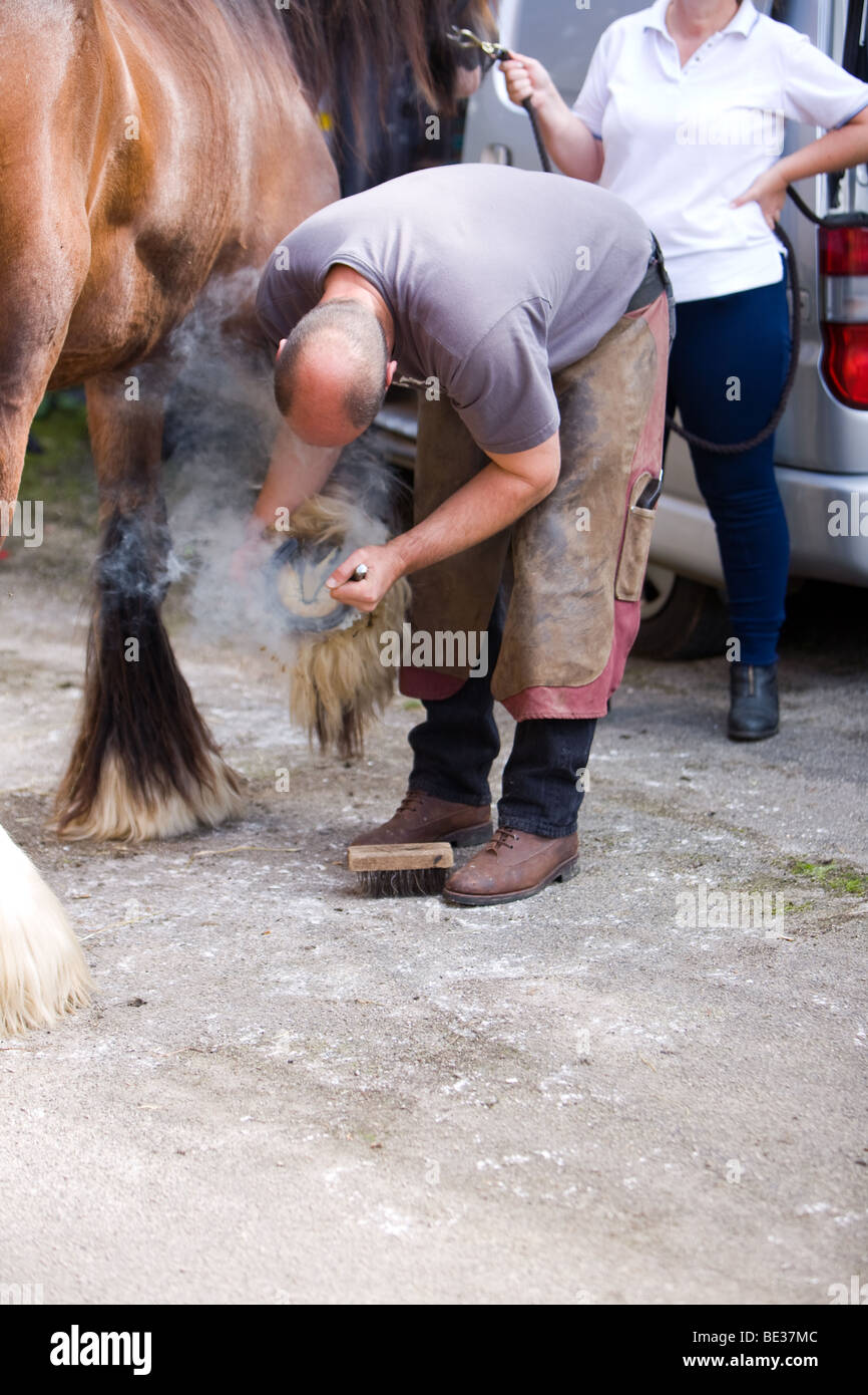 Woman farrier shoeing horse hi-res stock photography and images - Alamy