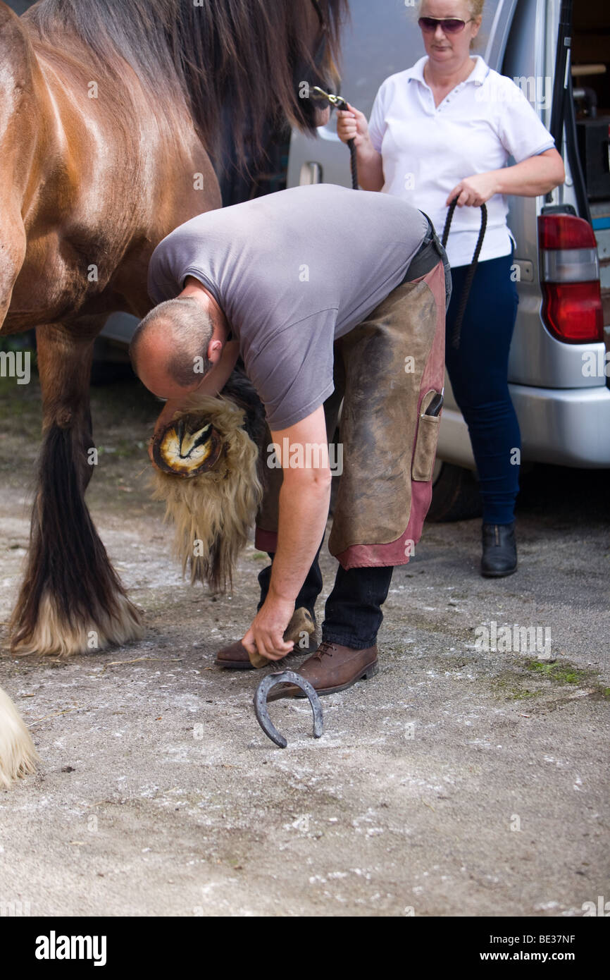 A mobile farrier shoeing a horse Stock Photo - Alamy