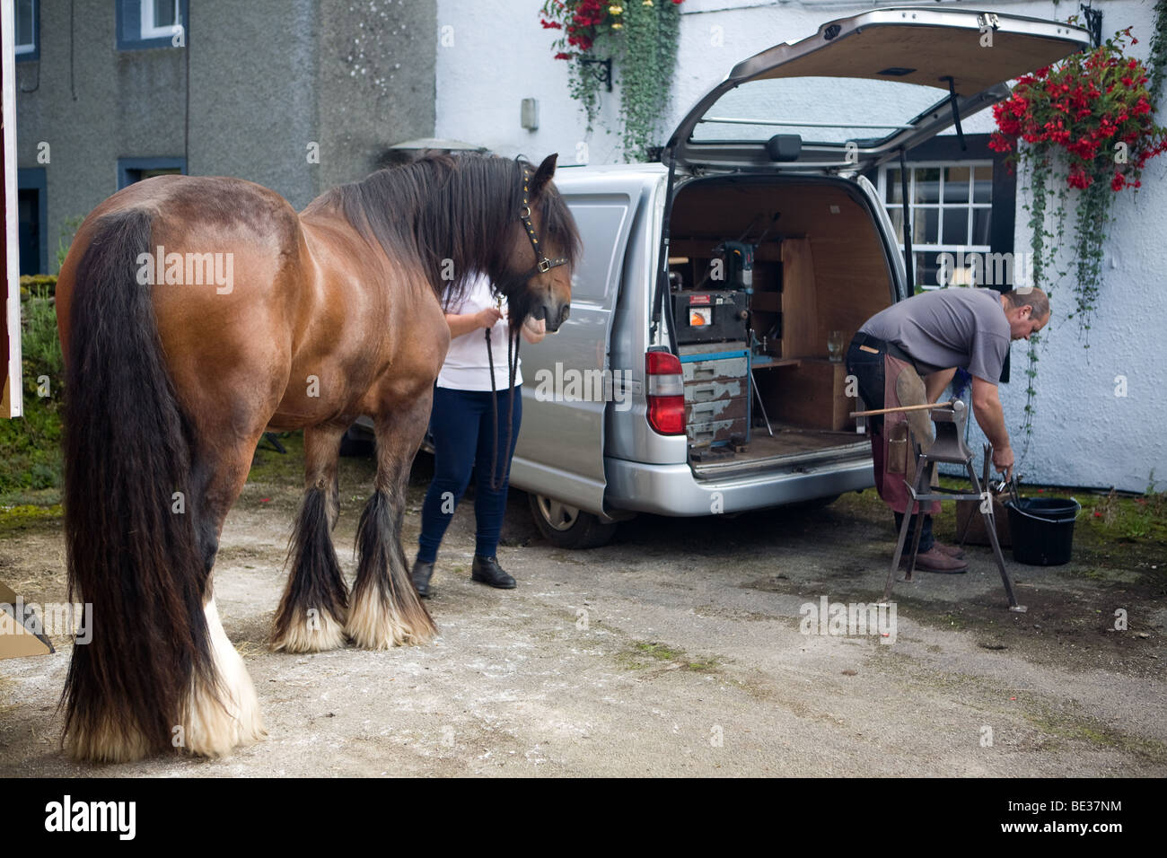 A mobile farrier shoeing a horse Stock Photo - Alamy