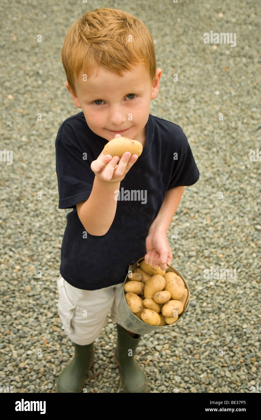 A young boy has picked some new potatoes for his dinner Stock Photo - Alamy