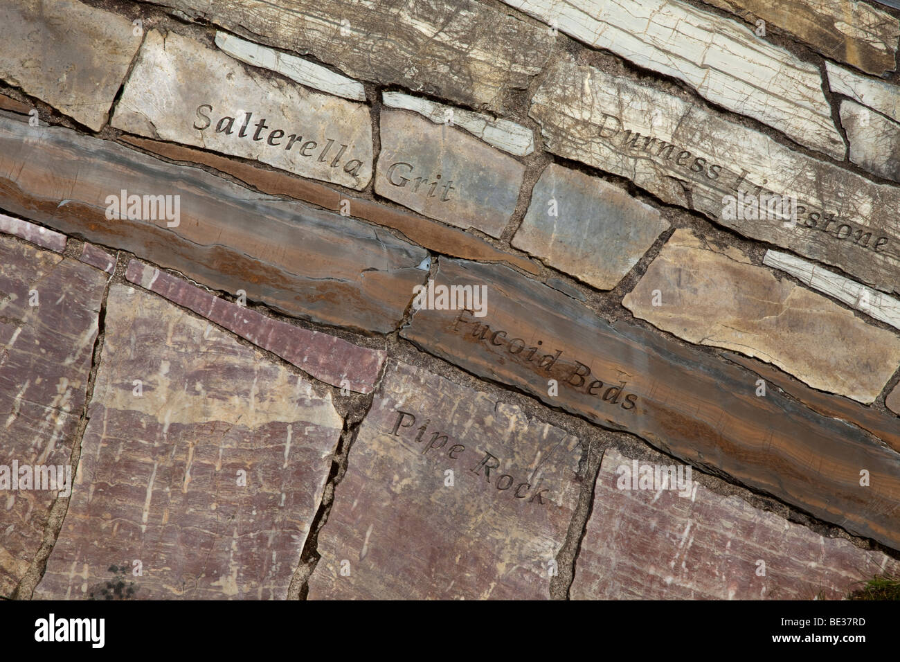 Fucoid beds hi-res stock photography and images - Alamy