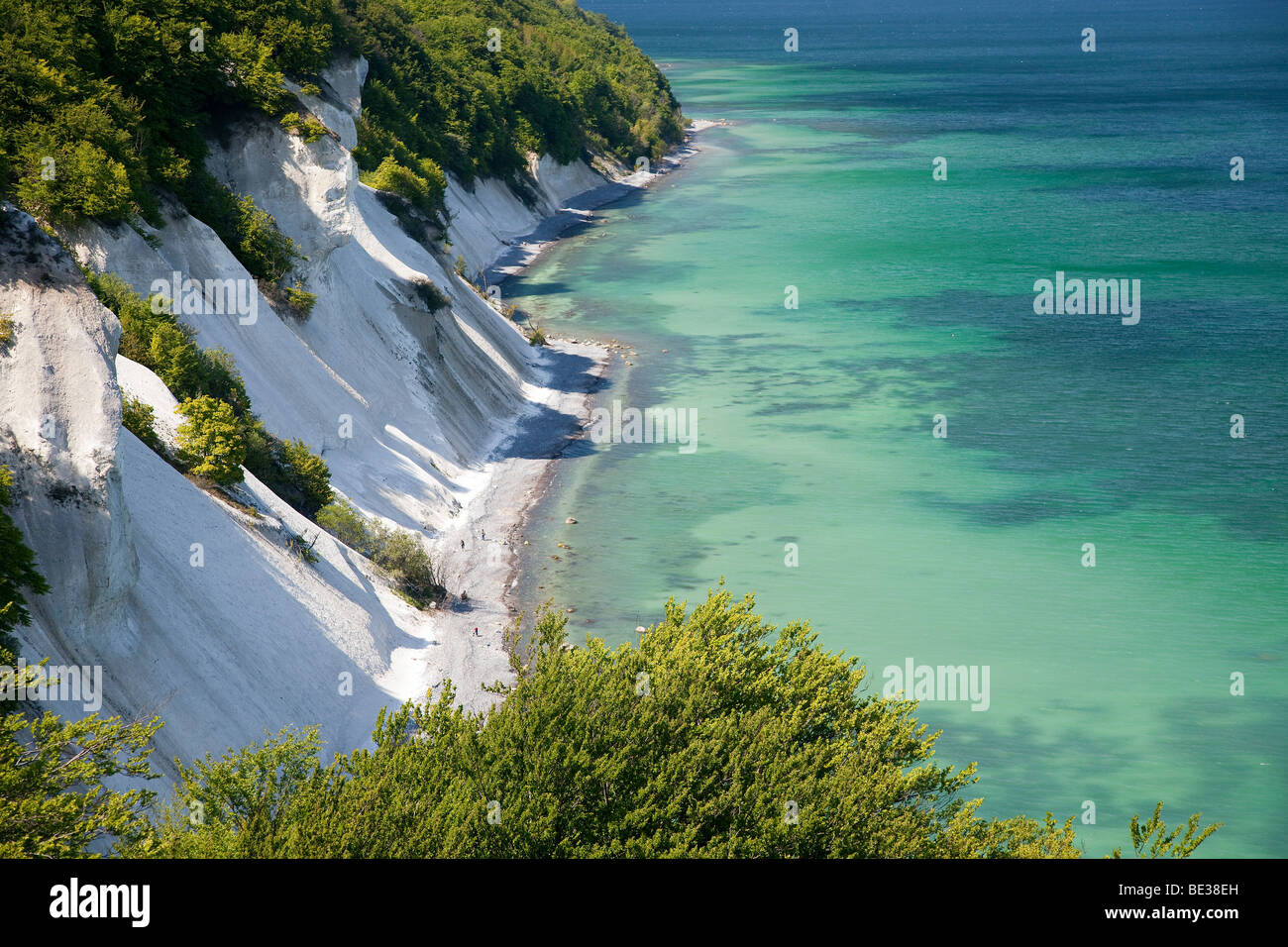 Mon denmark cliff hi-res stock photography and images - Alamy