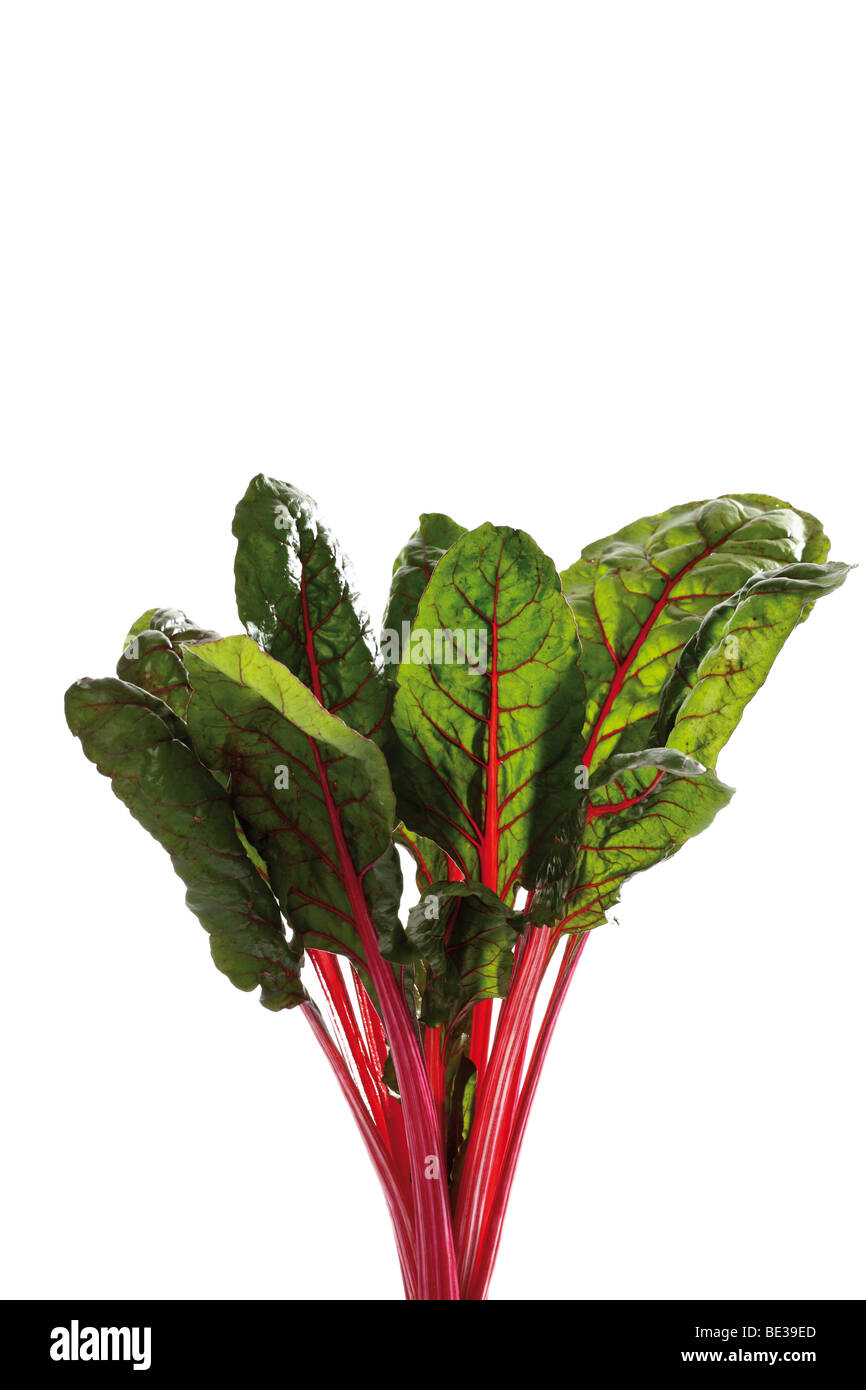 Mangold blaetter hi-res stock photography and images - Alamy