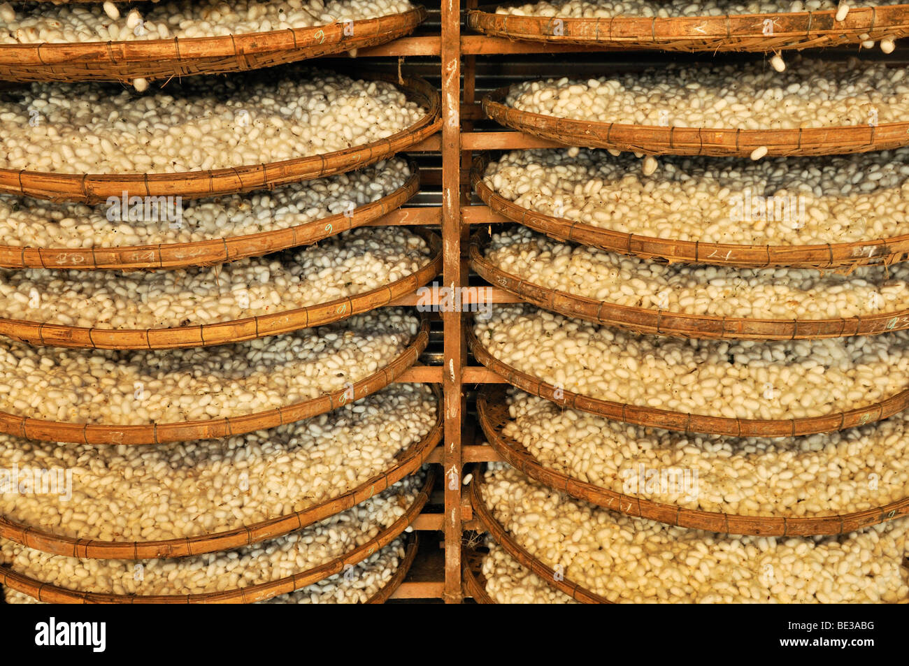 Produktion seide hi-res stock photography and images - Alamy