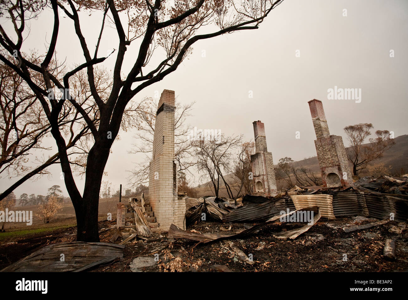 Bushfire ravaged landscape Stock Photo - Alamy