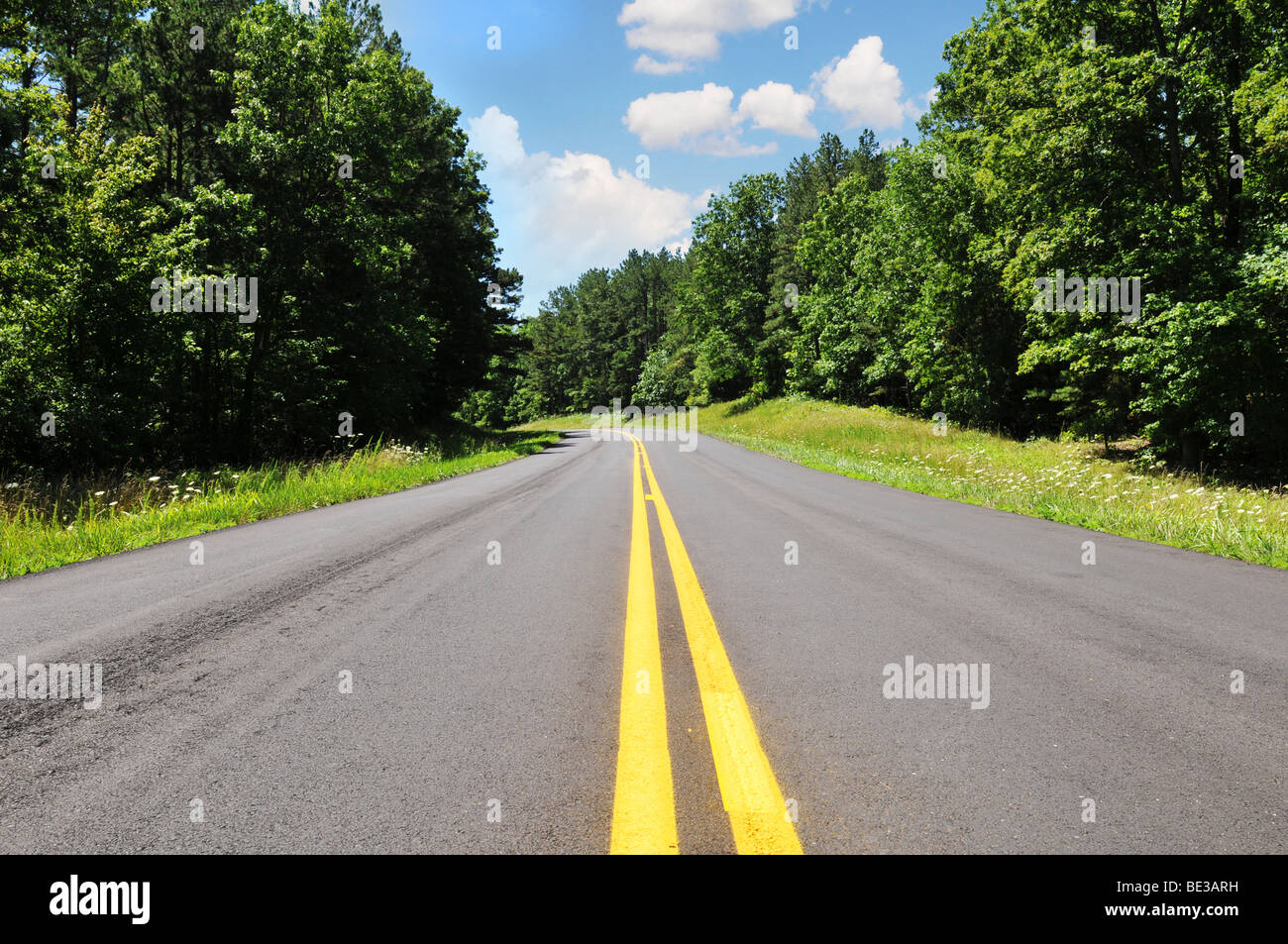 Road in a rural area with trees and blue sky Stock Photo - Alamy
