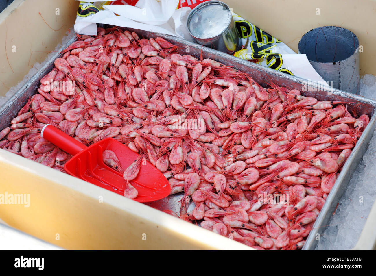 Scandinavia shrimp hi-res stock photography and images - Alamy