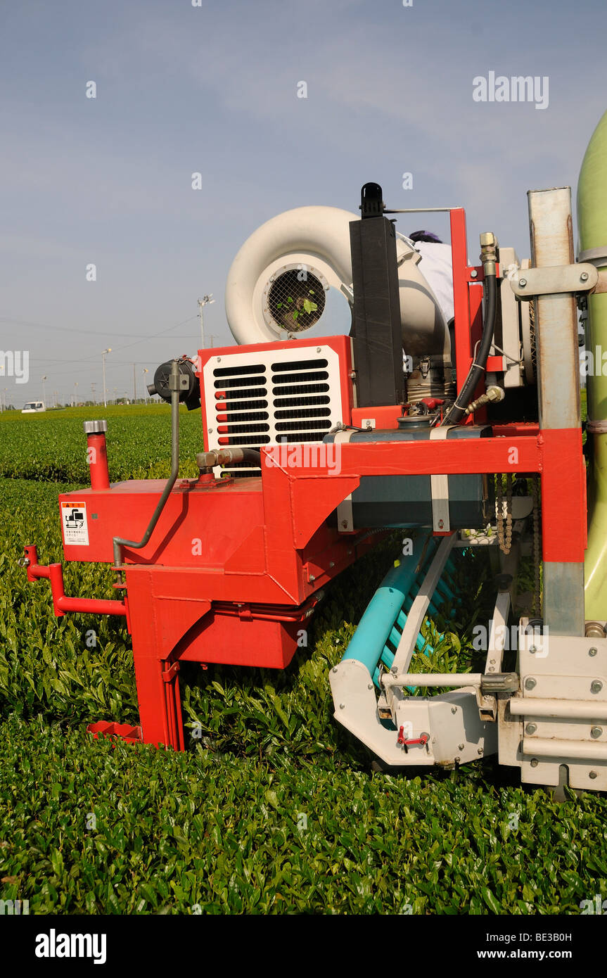 Tea harvesting machine harvester in hi-res stock photography and images ...