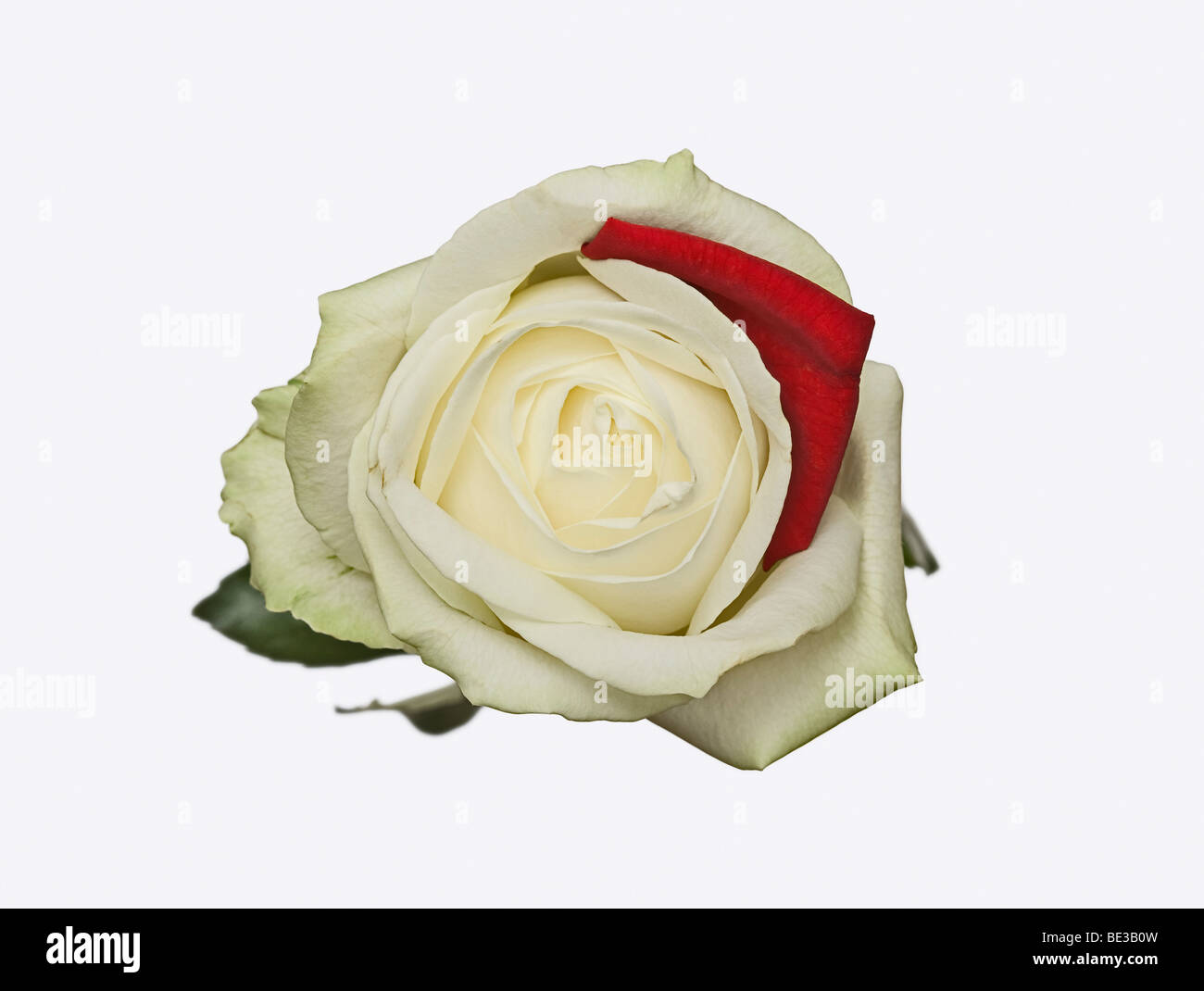 One one out Stock Photo - Alamy