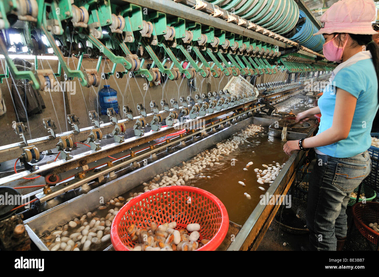 Woman working in a silk factory, cocoons floating in water, silk is ...