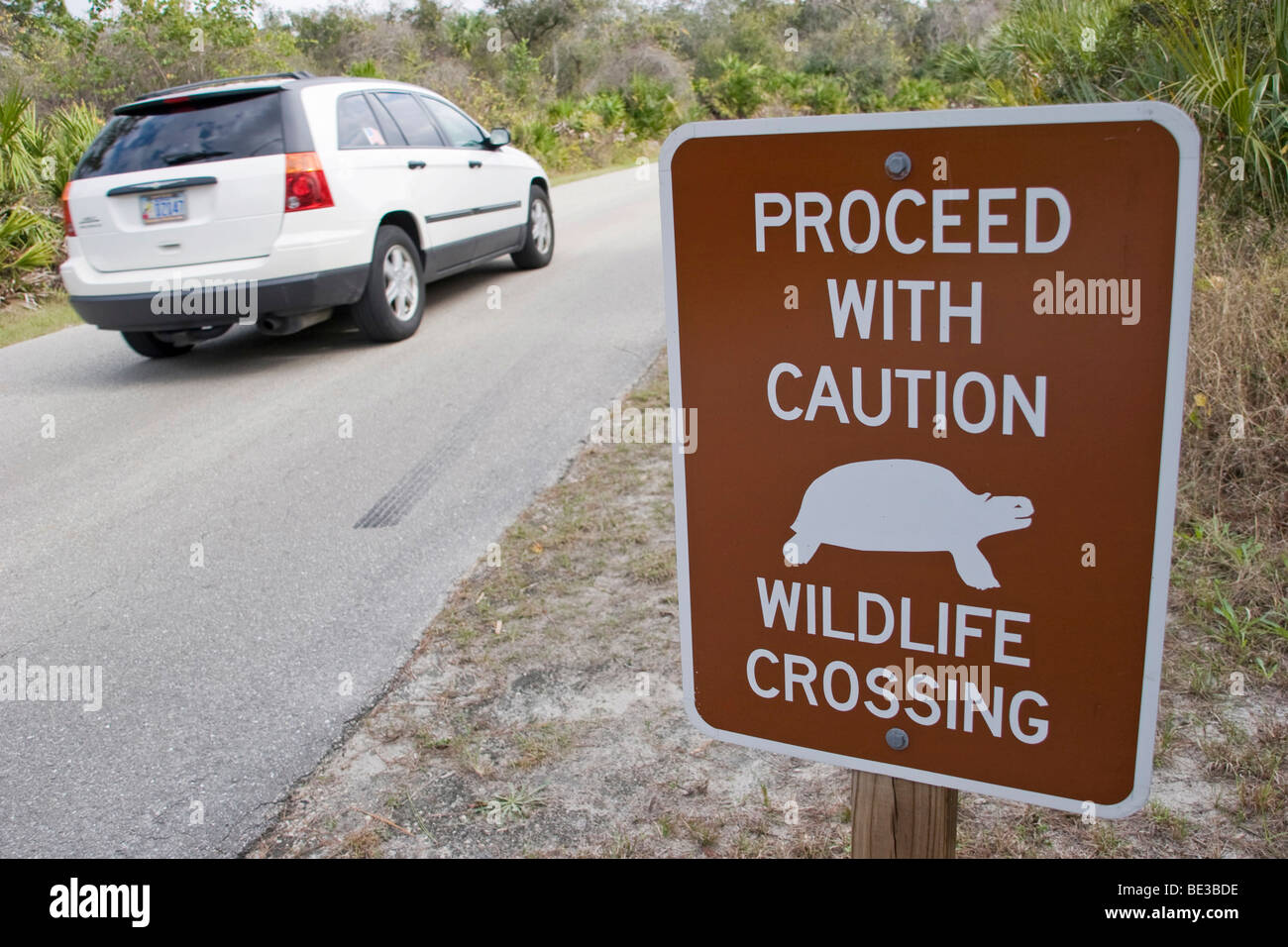 Traffic sign, Wildlife crossing, in a state park in Florida, USA Stock ...