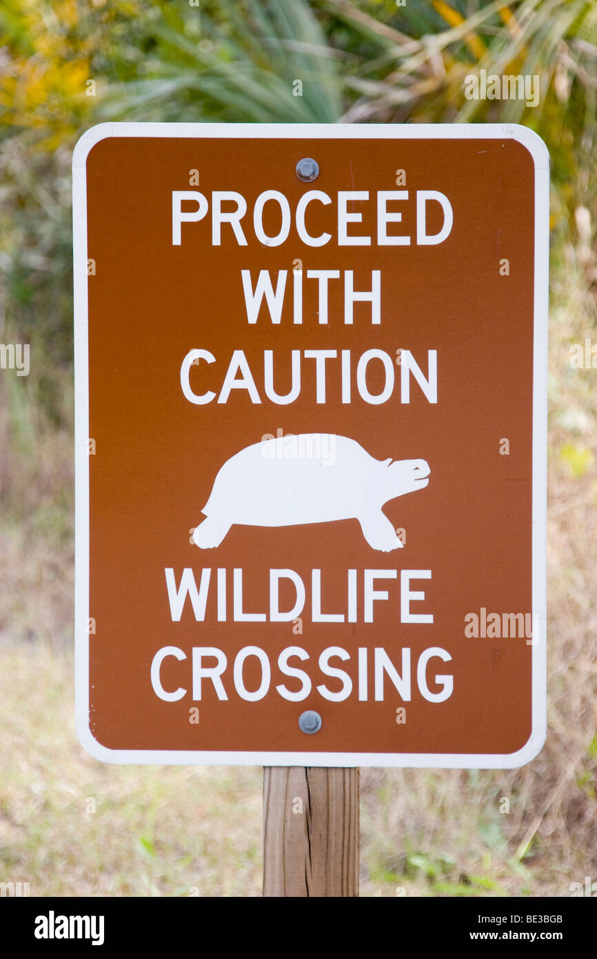 Traffic sign, Wildlife crossing, in a state park in Florida, USA Stock ...