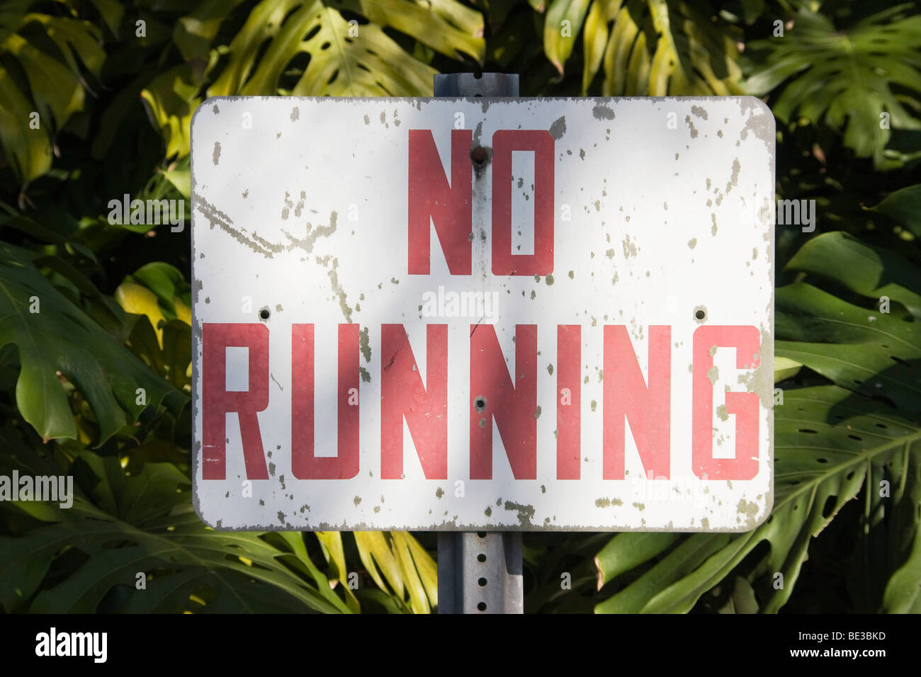 Prohibition sign, no running, USA Stock Photo - Alamy