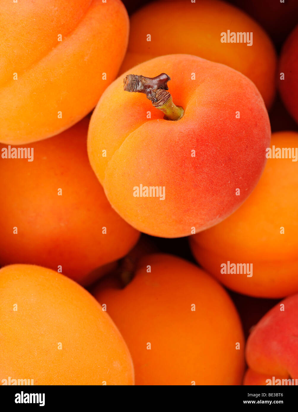 Apricots hi-res stock photography and images - Alamy