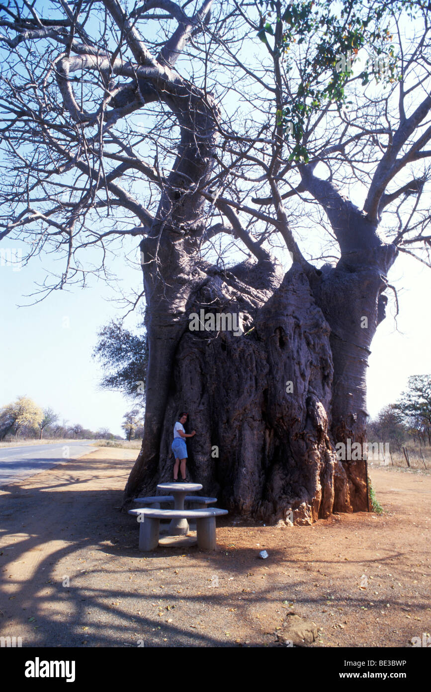 Zimbabwe woman road hi-res stock photography and images - Alamy