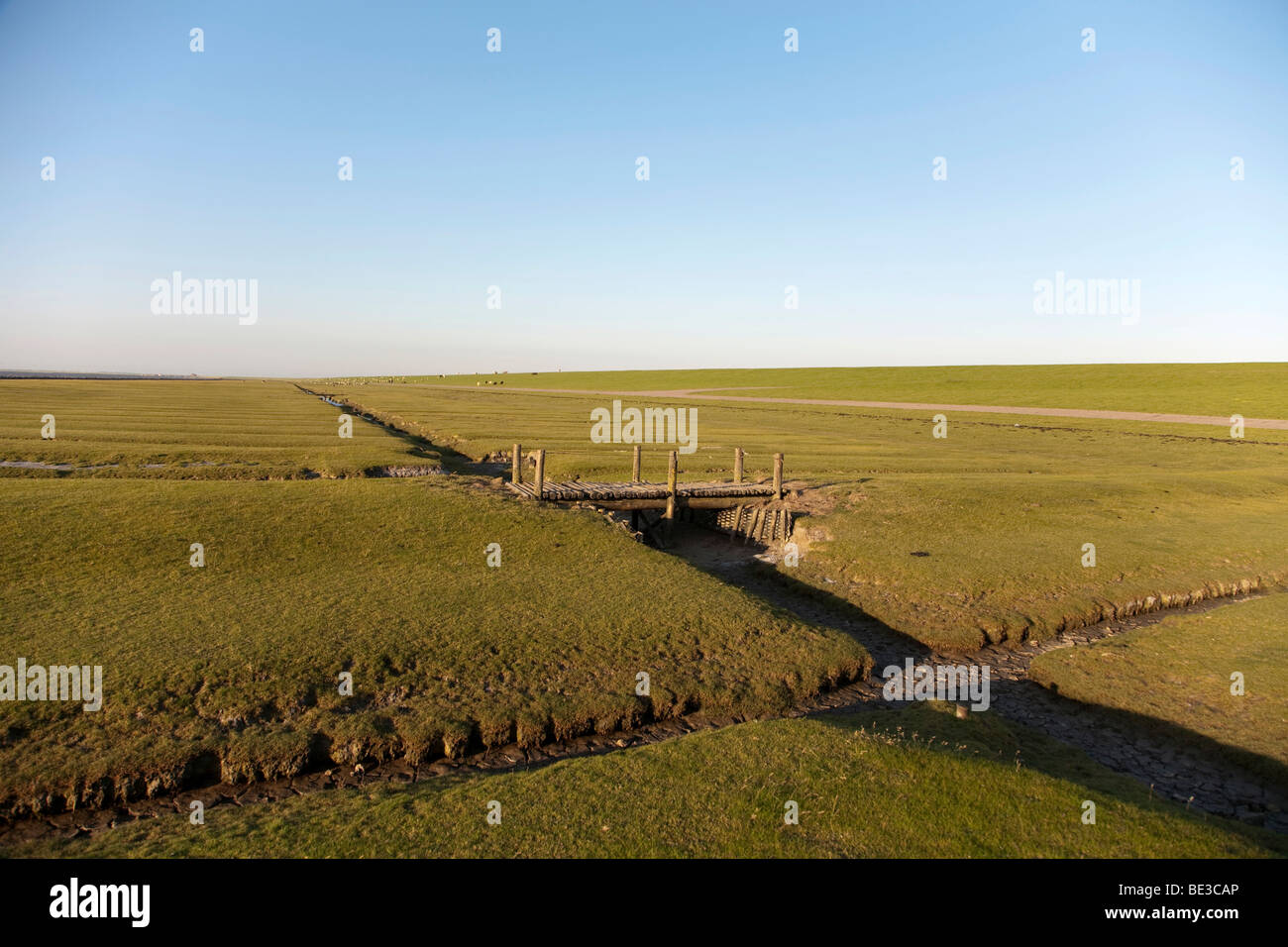 Dike foreland on Nordstrand Island, small wooden bridge crossing ...