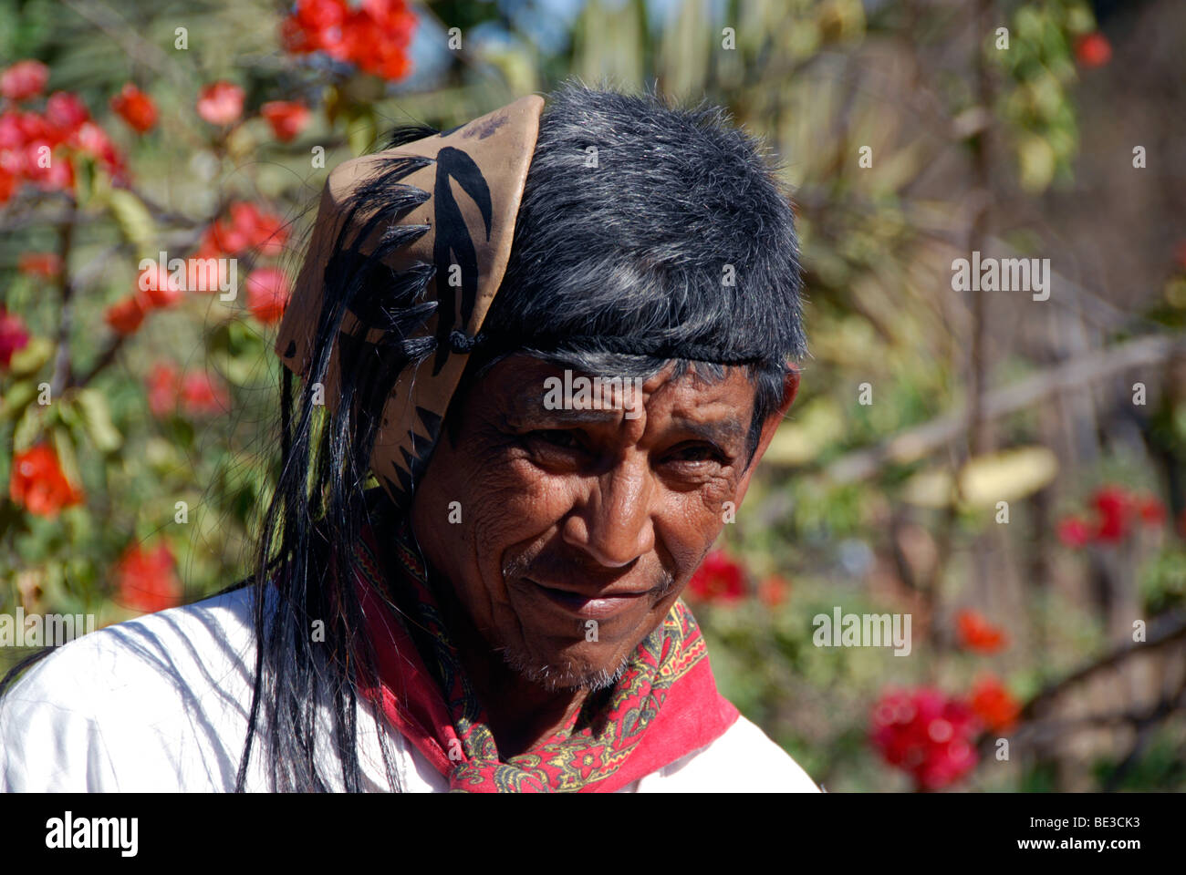 Mayo indians hi-res stock photography and images - Alamy