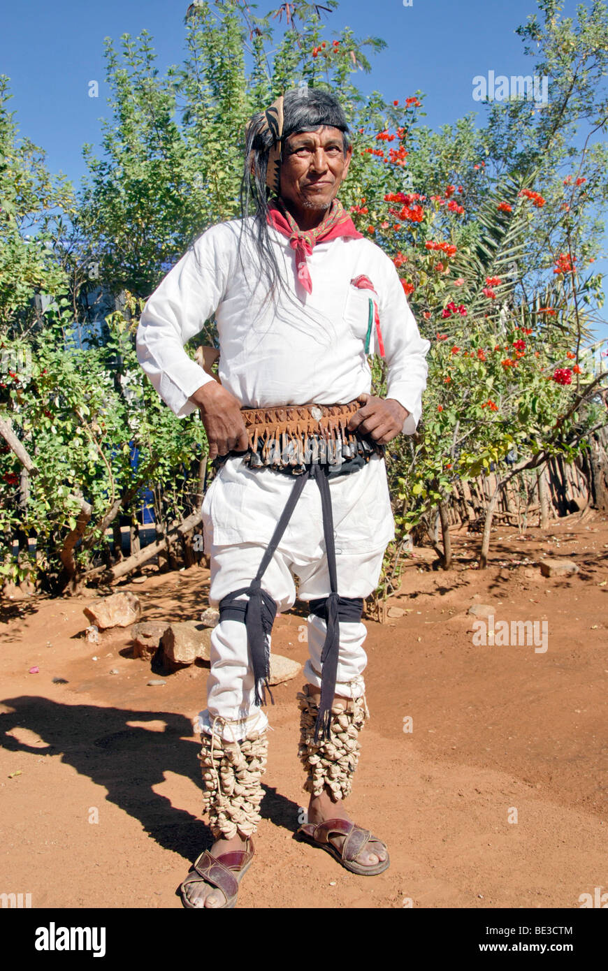 Mayo Indian man in traditional dress ready to do the deer dance near El ...