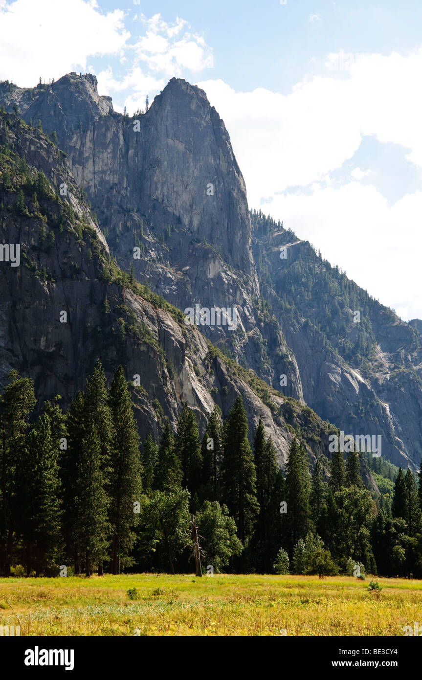 Yosemite Valley Granite Cliffs Forest Meadow Yosemite National Park ...