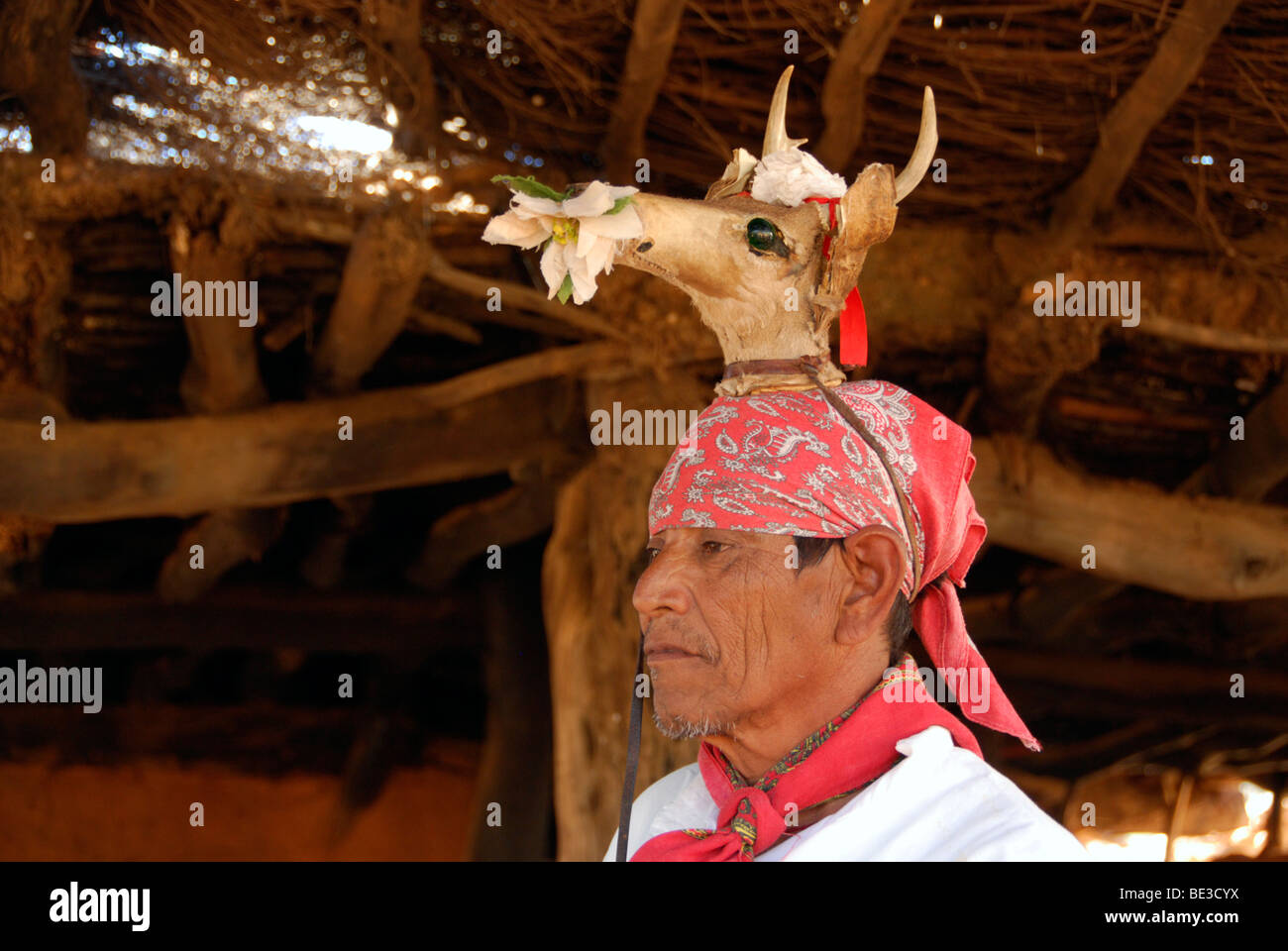 Mayo Indian doing the deer dance in his village near El Fuerte, Sinaloa ...
