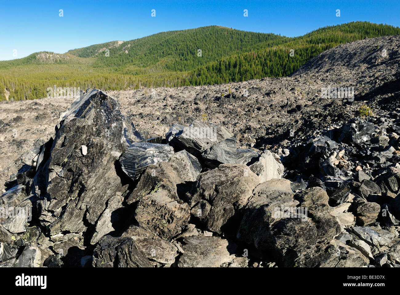 Obsidian, obsidian flow, Newberry National Volcanic Monument, Oregon, USA Stock Photo - Alamy