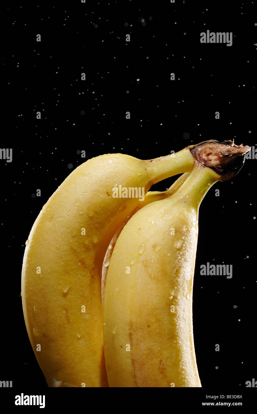 Rain over bananas. Black background Stock Photo - Alamy